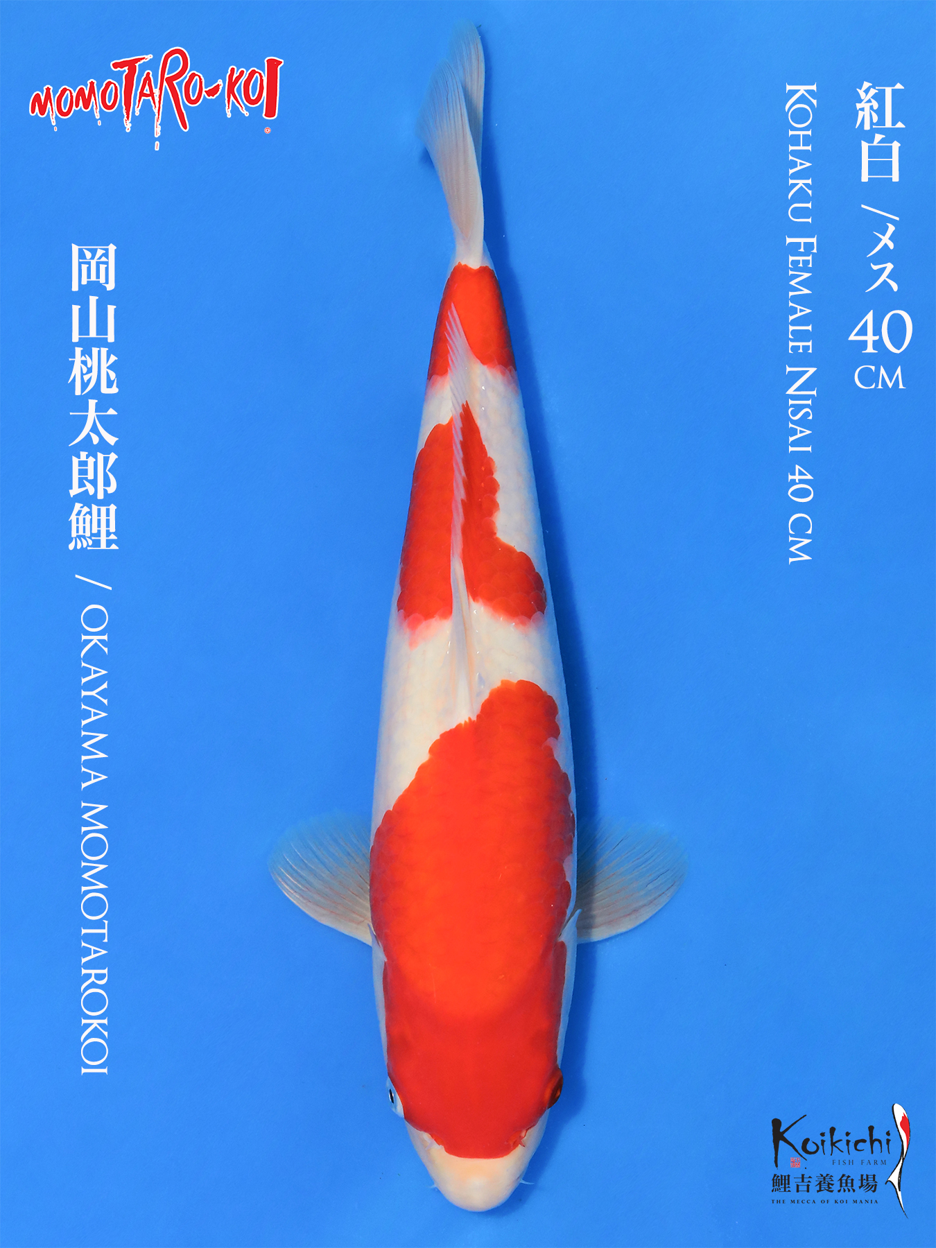 กิจกรรม